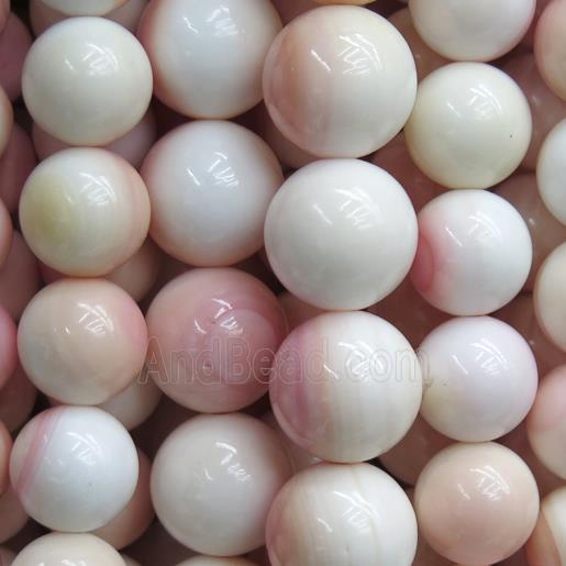 Conch Shell Beads